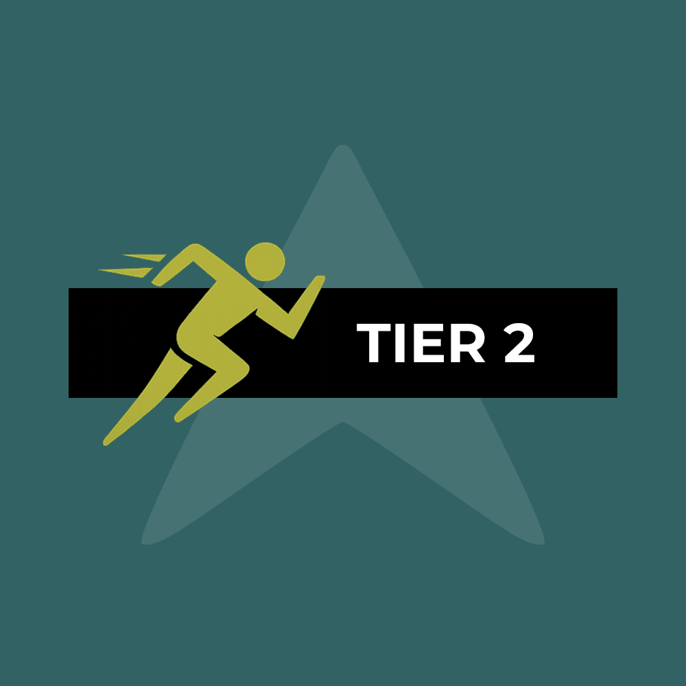 TIER 2 - Way-finder Field Skills
